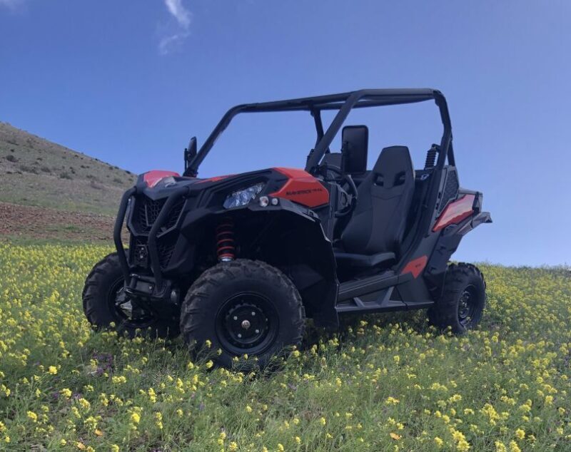 Lanzarote: Guided Can-Am Trail Buggy Tour - Introduction