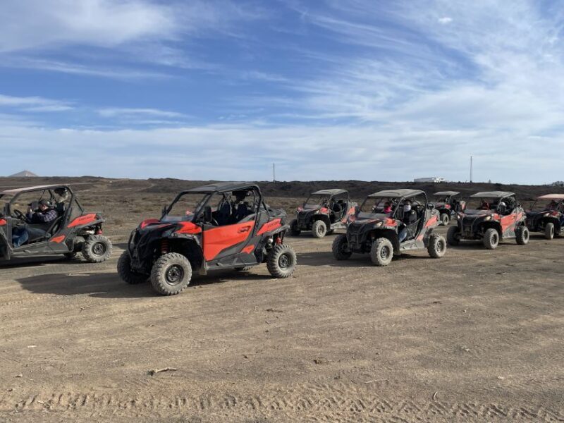 Lanzarote: Guided Can-Am Trail Buggy Tour - Pricing and Value