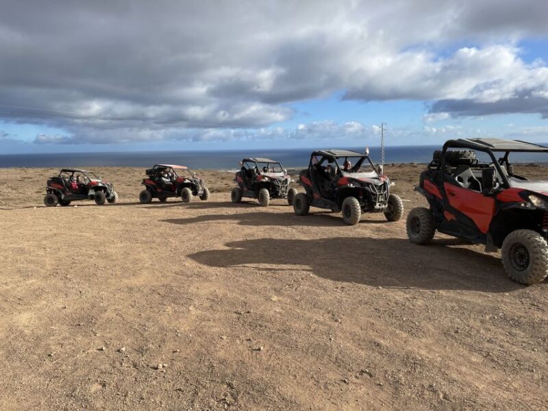 Lanzarote: Guided Can-Am Trail Buggy Tour - The Sum Up