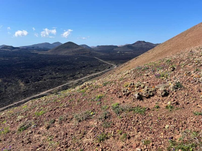 Lanzarote: Guided Hike discover volcano history and culture - An Introduction to Lanzarote’s Volcanic Charm