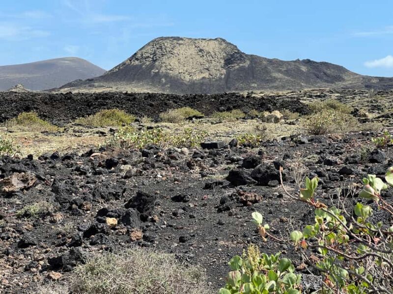 Lanzarote: Guided Hike discover volcano history and culture - Practical Details and Tips