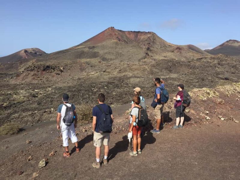 Lanzarote: Guided Hike discover volcano history and culture - What Do The Reviews Say?