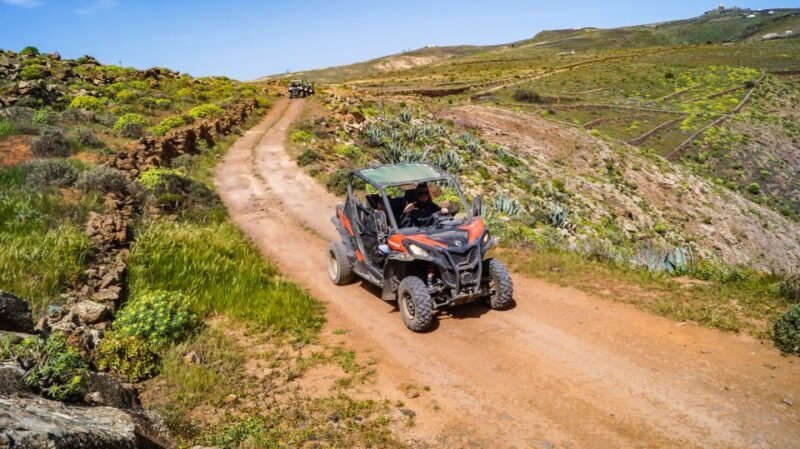 Lanzarote: Guided Off-Road Volcano Buggy Tour - A Deep Dive into the Lanzarote Volcano Buggy Tour