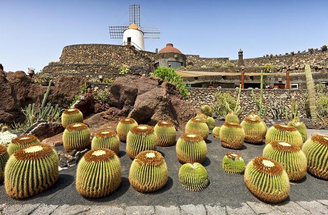 Lanzarote Highlights. Private Tour with Pickup (price per vehicle, not p.p.) - Key Points