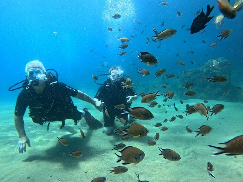 Lanzarote: Intro to Diving Experience for Beginners - Why Choose Lanzarote’s Intro to Diving?