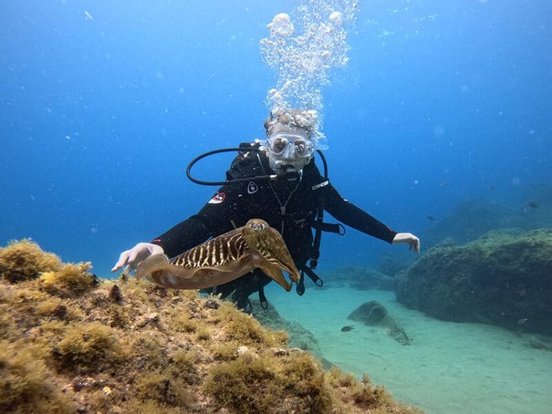 Lanzarote: Intro to Diving Experience for Beginners - Small Groups Make a Difference