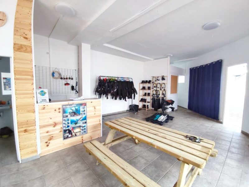 Lanzarote: Intro to Diving Experience for Beginners - Underwater Experience and Marine Life