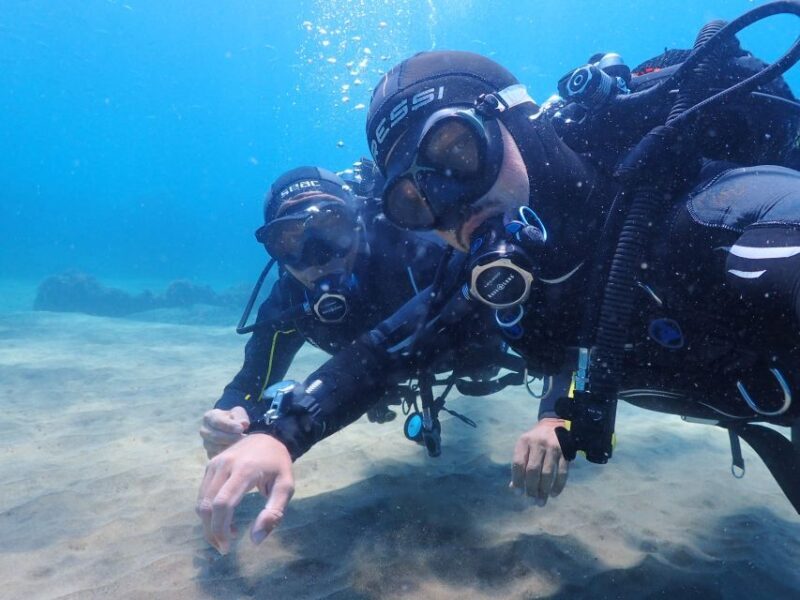 Lanzarote: Intro to Diving Experience for Beginners - The Quality of the Equipment and Safety