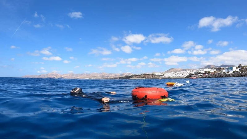 Lanzarote: Intro to Freediving Experience - The Practical Side: What to Know Before You Go