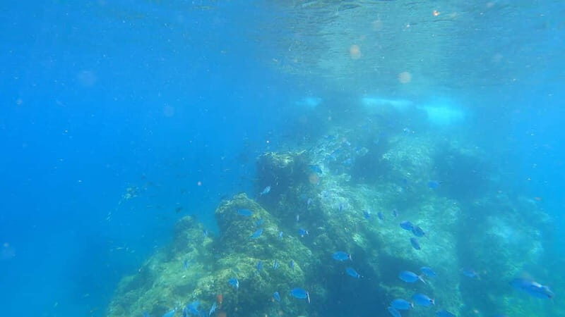 Lanzarote: Intro to Freediving Experience - FAQ: Common Practical Questions