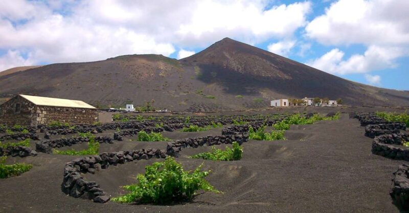 Lanzarote: La Geria Vineyards Hiking Tour - Final Thoughts