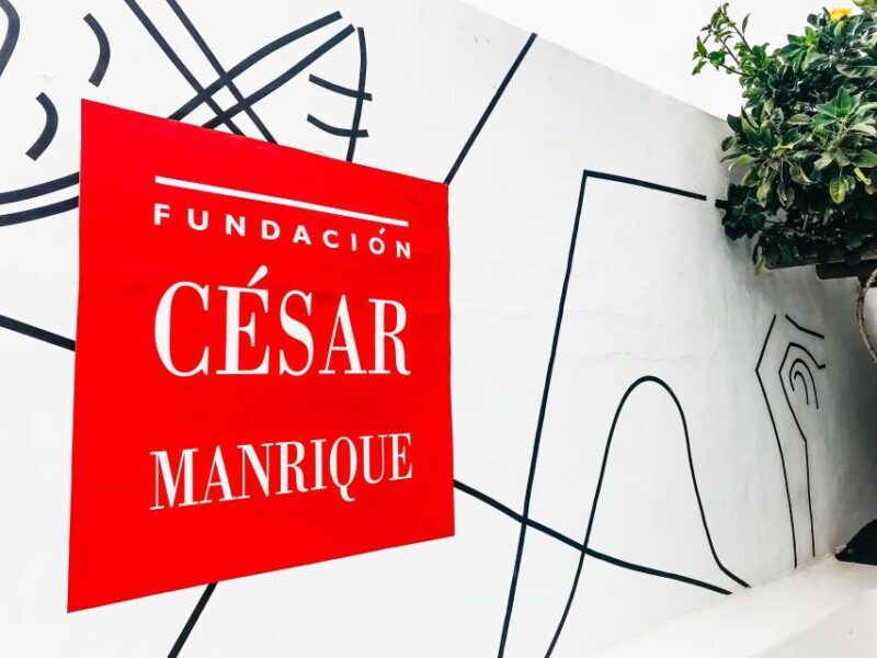 Lanzarote: Legacy of César Manrique Guided Tour - Who Will Love This Tour?