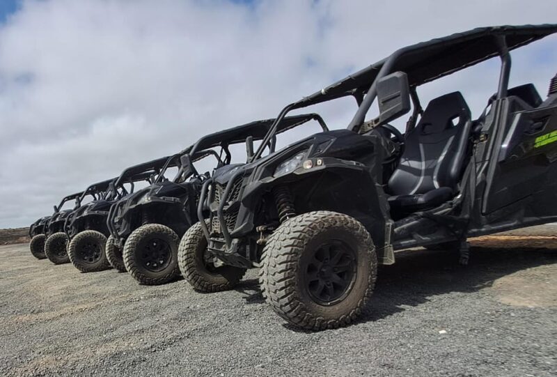 Lanzarote: Mix tour Guided Buggy Volcano Tour 4 seater - The Practicalities