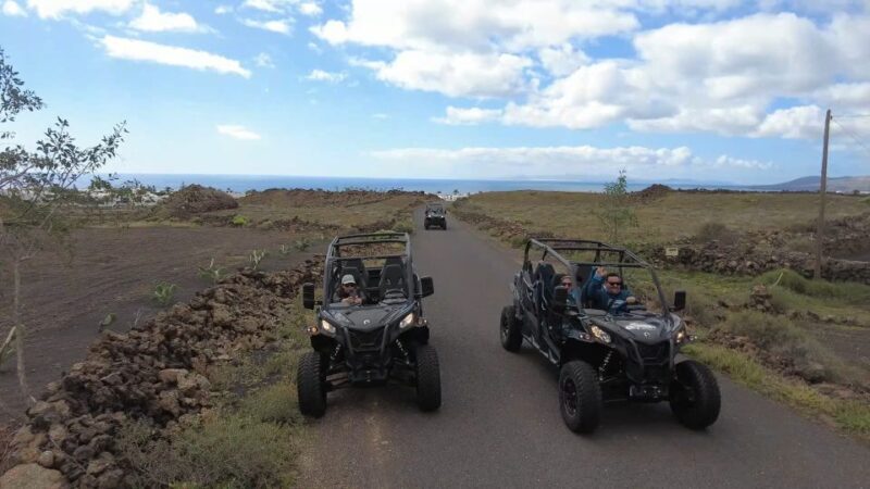 Lanzarote: Mix tour Guided Buggy Volcano Tour 4 seater - Who Will Love This Tour?