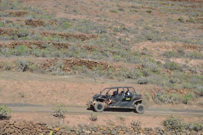 Lanzarote: Mix tour Guided Buggy Volcano Tour 4 seater - FAQs