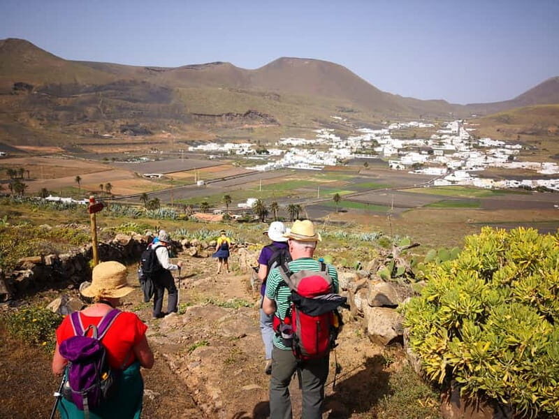 Lanzarote: Northern Cliffs & Valleys Walking tour - Authentic Experiences and Customer Feedback