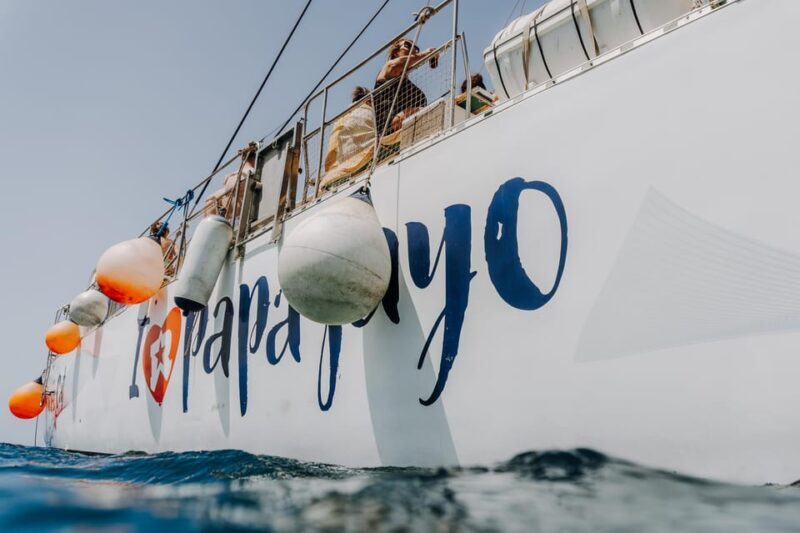 Lanzarote: Papagayo Beaches Cruise for Cruise Ship Passenger - Key Points