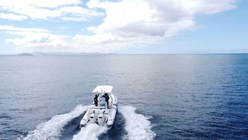 Lanzarote: Private boat Trip 2:30h - The Sum Up: Is It Worth It?