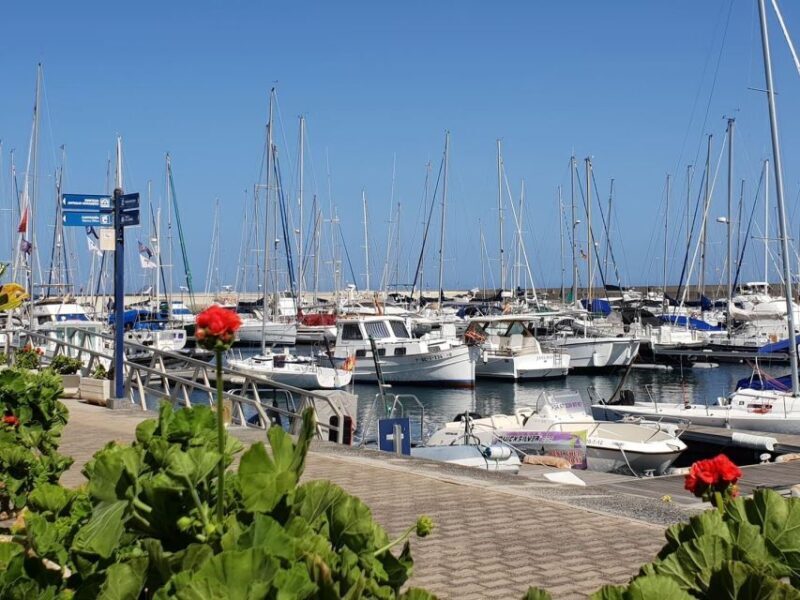 Lanzarote: Sea Safari Experience - Authentic Reviews Tell the Story