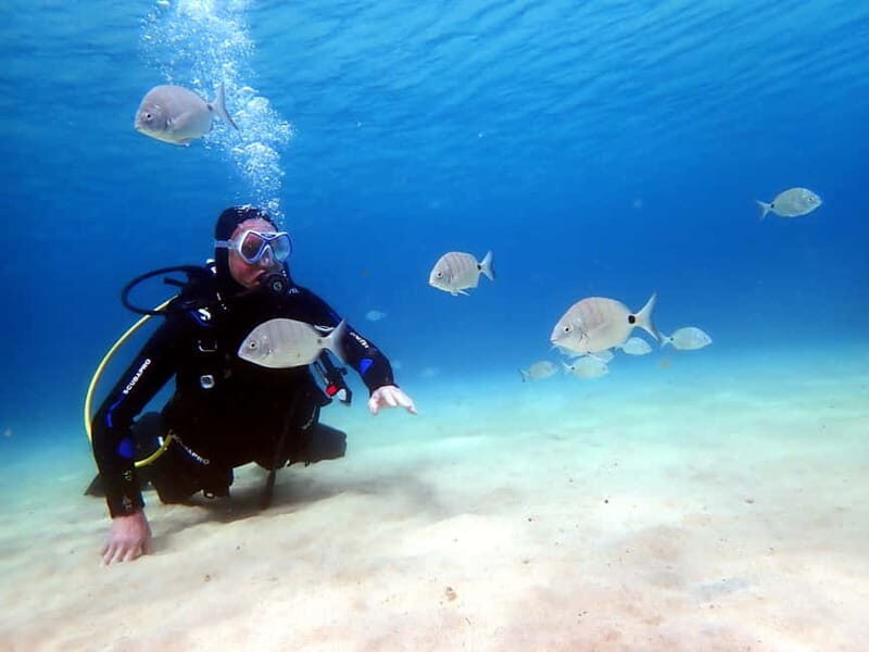 Lanzarote: Small-Group Discover Scuba Diving Costa Teguise - Key Points