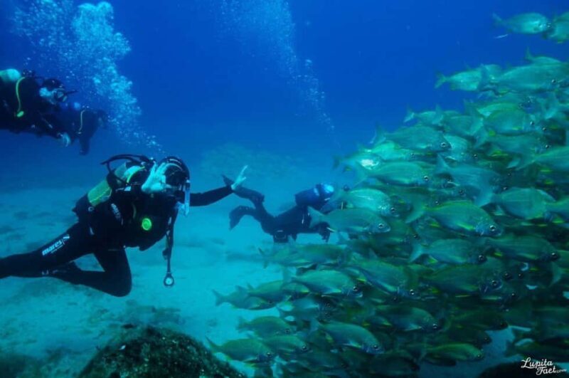 Lanzarote: Snorkeling Tour - Key Points