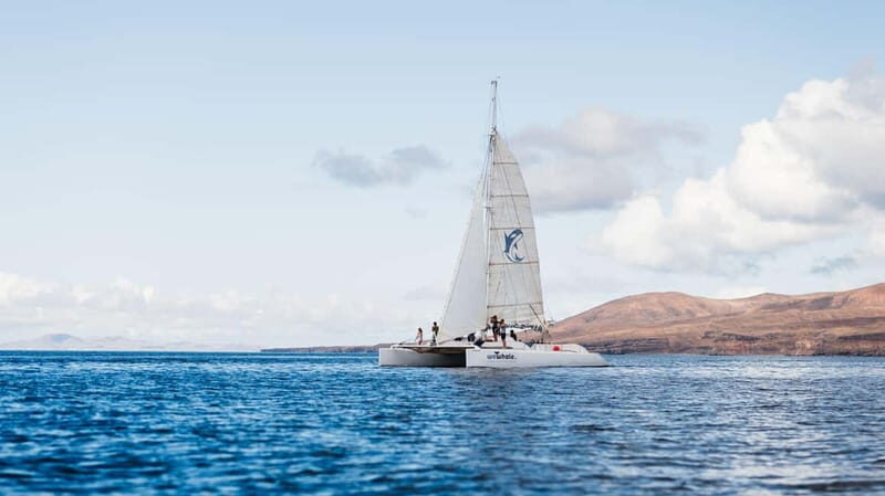 Lanzarote Sunset Experience with dolphin spotting - Pricing and Value