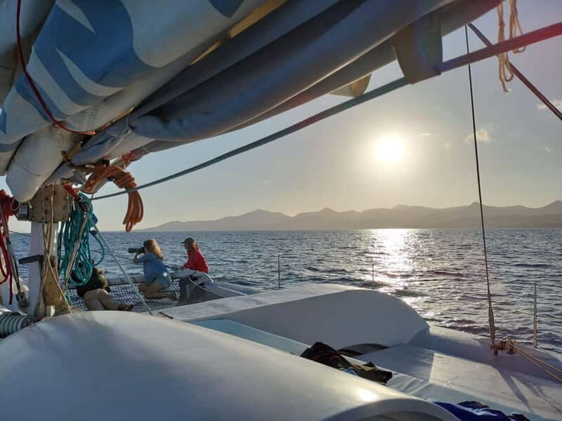 Lanzarote Sunset Experience with dolphin spotting - Practical Tips for Booking and Participation