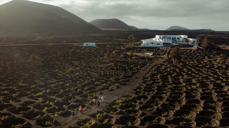 Lanzarote: Sunset vineyard tour with wine and chocolate tasting - An Authentic Taste of Lanzarote’s Unique Landscape and Culture