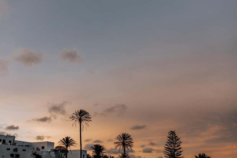 Lanzarote: Sunset vineyard tour with wine and chocolate tasting - Practical Details and Considerations