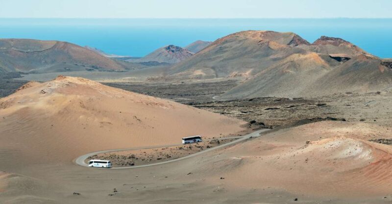 Lanzarote: Timanfaya National Park & La Geria Tour - Who Would Love This Tour?