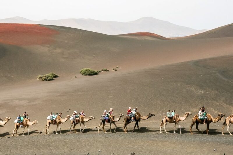 Lanzarote: Timanfaya National Park Volcanic Craters Tour - The Experience Through Travelers’ Eyes