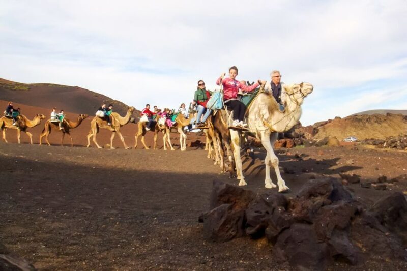 Lanzarote: Timanfaya Park and Jameos del Agua Full-Day Tour - The Experience’s Value: More Than Just Sightseeing