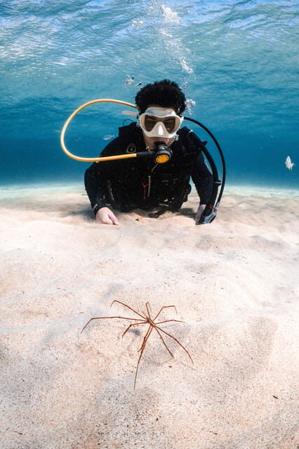 Lanzarote: Try Scuba Diving for Beginners - 2 Dives - FAQs
