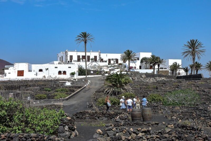 Lanzarote: Vineyard Tour with Wine and Chocolate Tasting - Key Points