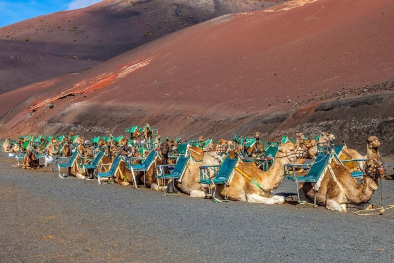 Lanzarote: Volcanos of Timanfaya and Caves Tour with Lunch - An In-Depth Look at the Itinerary