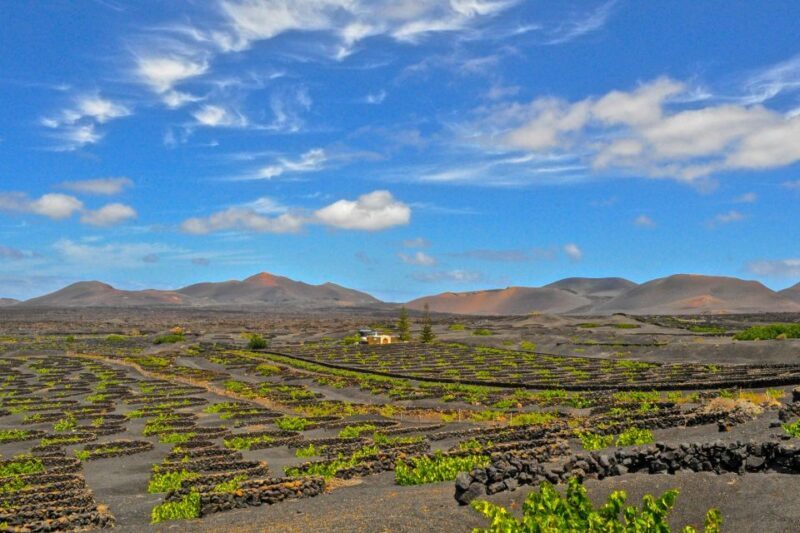 Lanzarote: Volcanos of Timanfaya and Caves Tour with Lunch - Authentic Experiences and Highlights from Reviewers