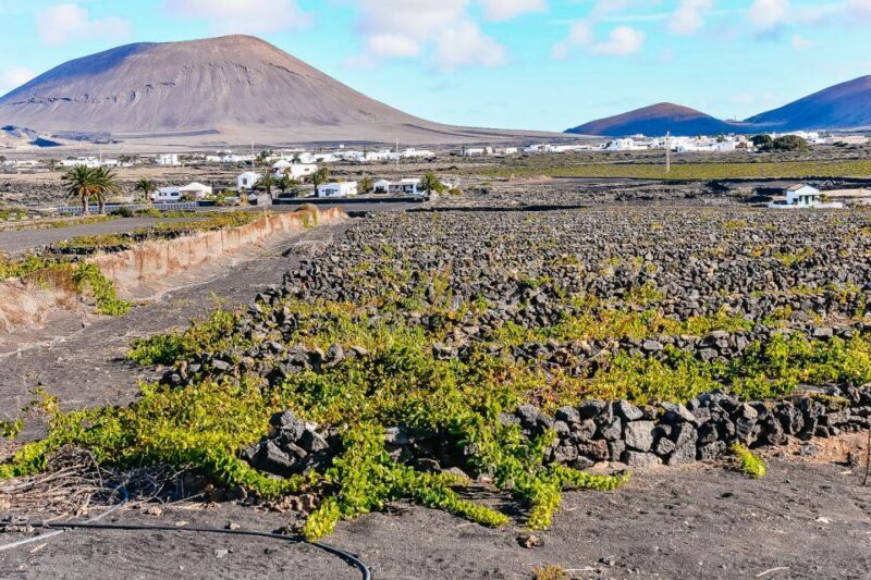 Lanzarote: Volcanos of Timanfaya and Caves Tour with Lunch - FAQ
