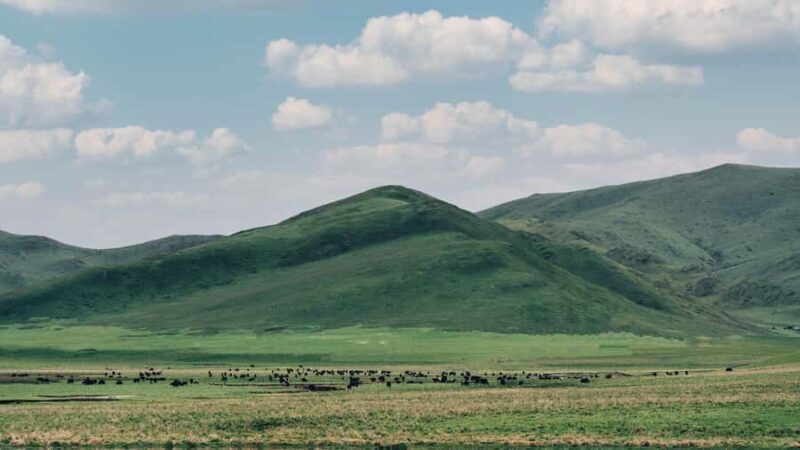 Lanzhou: Culture&Nature One-Day Tour - Customizable Packages - Pricing and Value