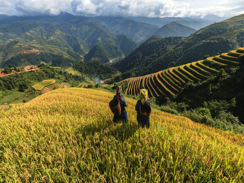 Lao Chai: Full-Day Ta Van Trek Tour from Sapa - Authenticity and Real Experiences