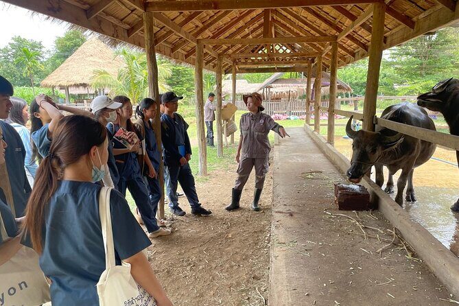 Laos Buffalo Dairy Tours Interact, Learn and Taste Fresh Flavors - Final Thoughts