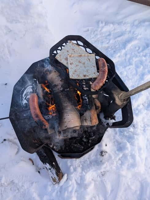 Lapland: A Day at a Traditional Log Cabin & Snowshoe Trek - Introduction