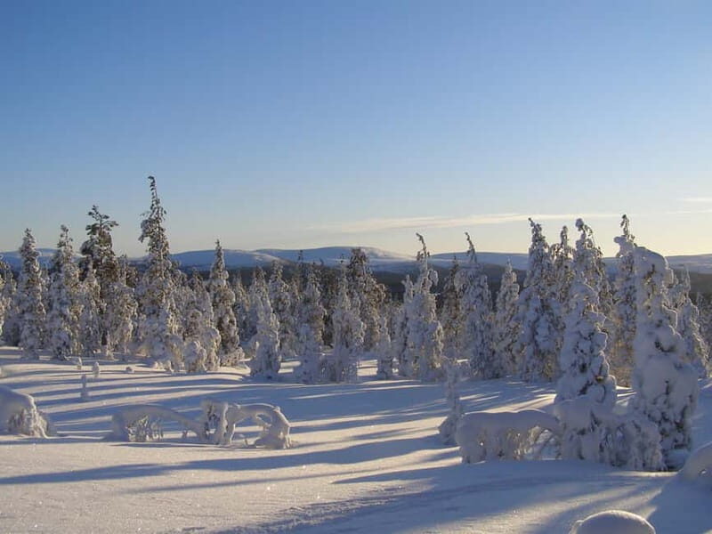 Lapland: A Day at a Traditional Log Cabin & Snowshoe Trek - Practical Details and Value