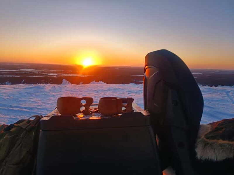 Lapland: Exclusive Private 7h Snowmobile Tour with Guide - An In-Depth Look at the Snowmobile Tour