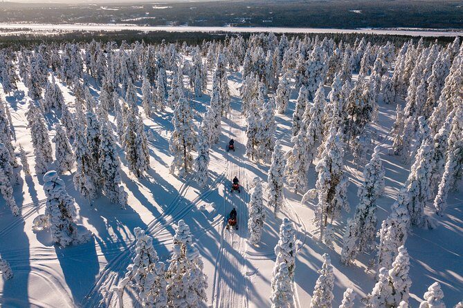Lapland Family Snowmobile Safari from Levi - Duration, Logistics, and Pricing