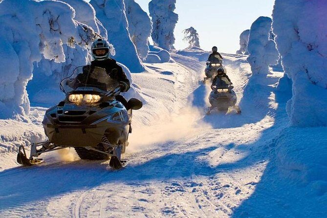 Lapland Family Snowmobile Safari from Levi - Practical Tips for Travelers