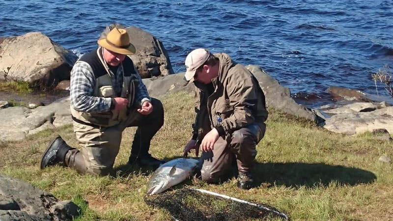 Lapland: Guided Fishing Trip - What Makes This Tour Stand Out?