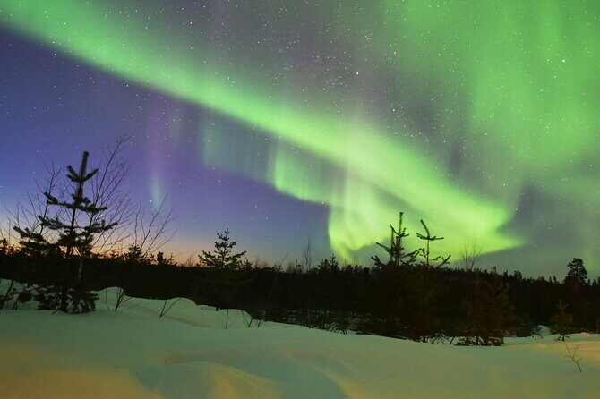 Lapland In A Day - Reindeer, Sledding, Snowmobile & Nature - Pricing and Value