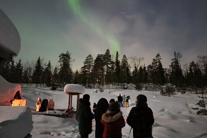 Lapland In A Day - Reindeer, Sledding, Snowmobile & Nature - Group Size, Timing, and Practicalities