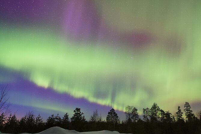 Lapland In A Day - Reindeer, Sledding, Snowmobile & Nature - Weather and Aurora Chances