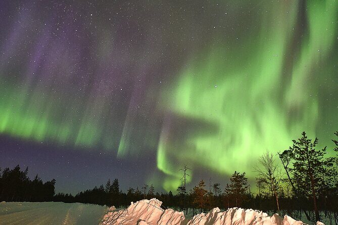 Lapland In A Day - Reindeer, Sledding, Snowmobile & Nature - Final Thoughts: Who Is This Tour For?